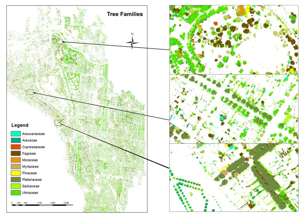 Urban Forest Tree Mapping – Melbourne - dimap